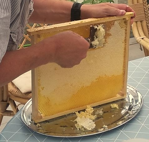 Bier og Honning – HansenBryg